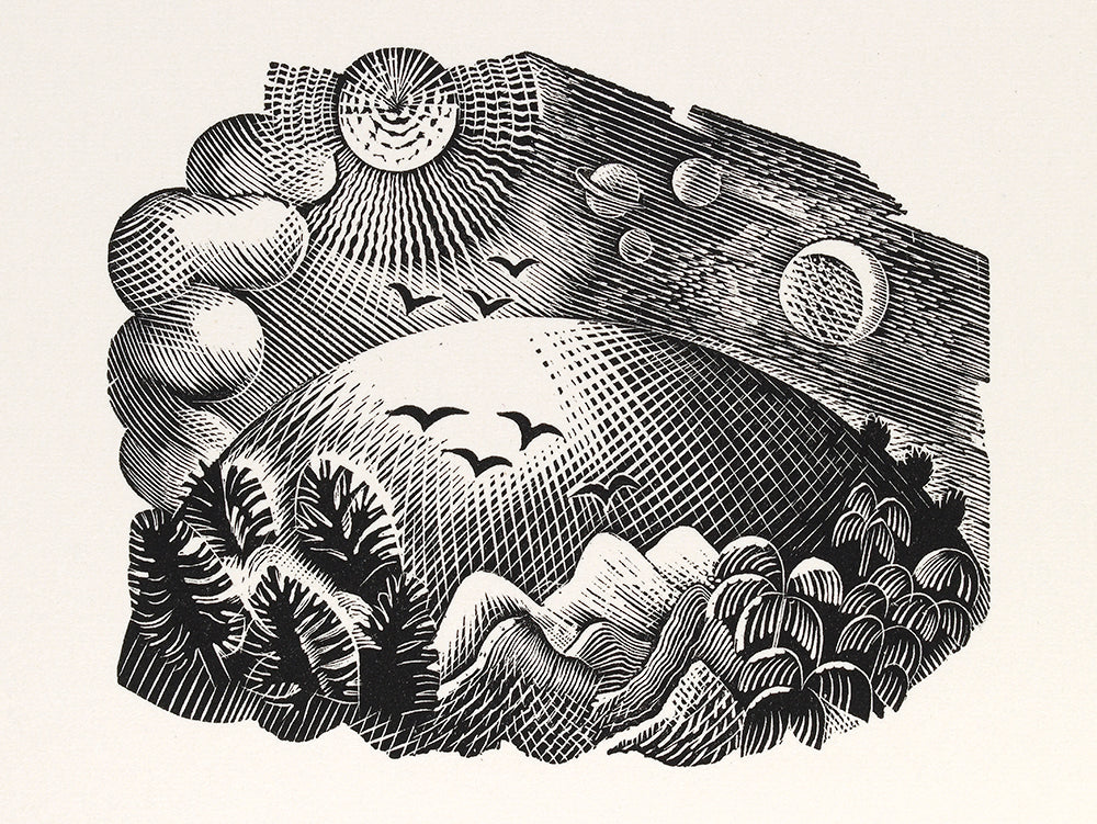 Collections – Ashmolean Prints