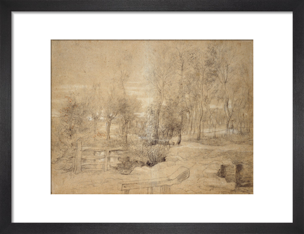 Woodland Scene – Ashmolean Prints