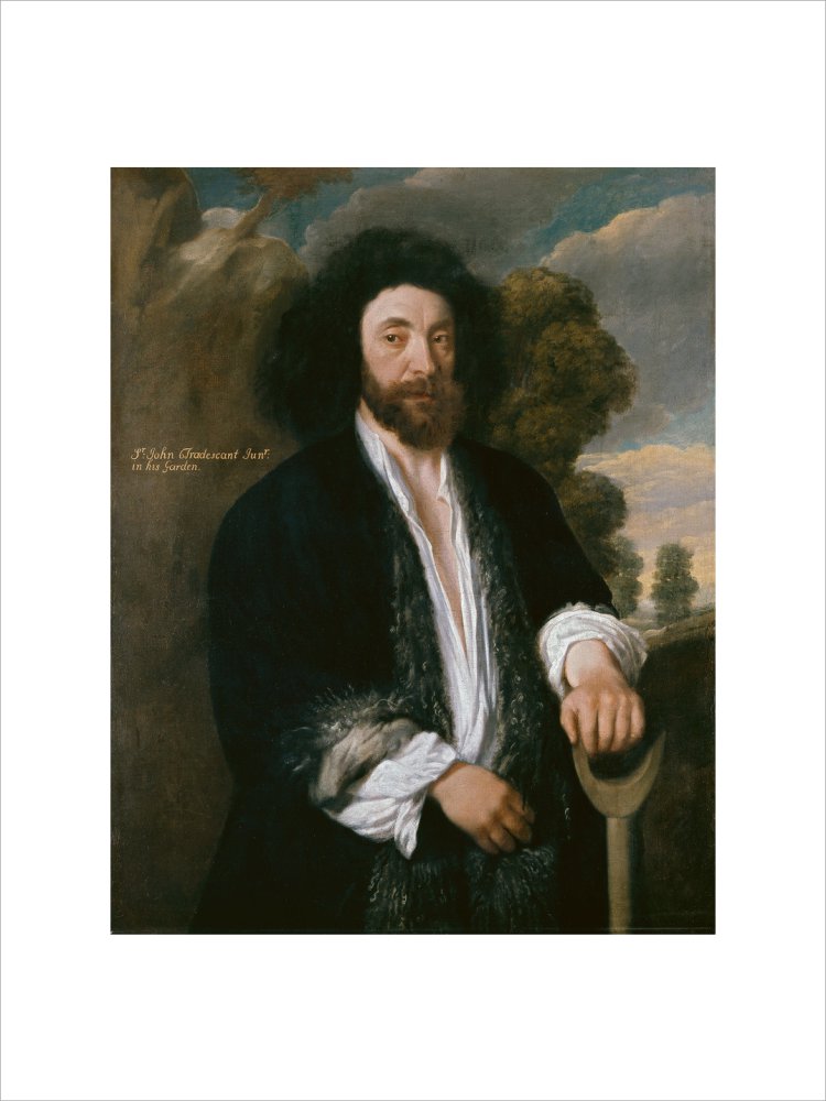 John Tradescant the Younger as a Gardener – Ashmolean Prints