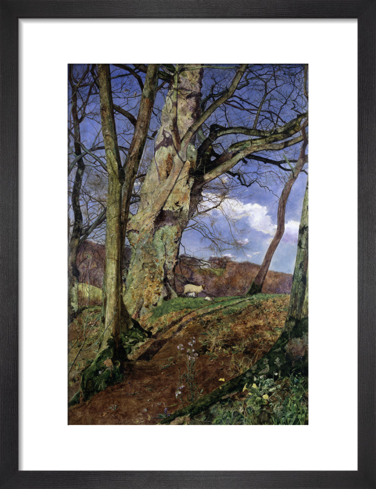 A Study, in March – Ashmolean Prints