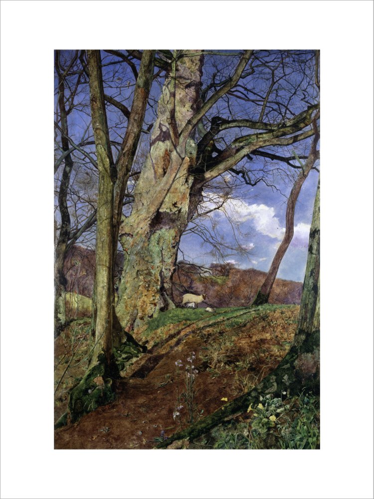 A Study, in March – Ashmolean Prints