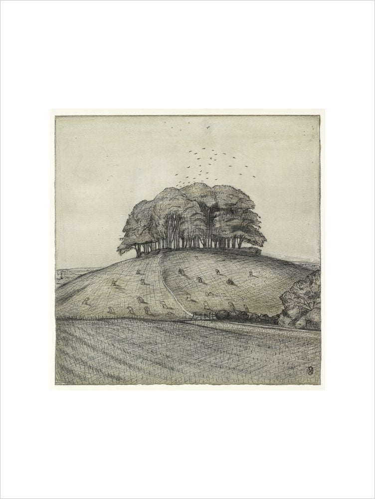 The Wood on the Hill (Wittenham Clumps); verso: landscape, 1912 ...